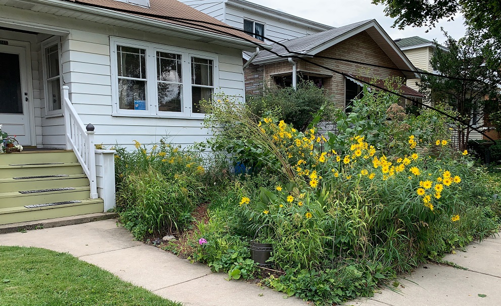 How Two Gardeners Beat Chicago City Hall - The Mike Nowak Show with ...